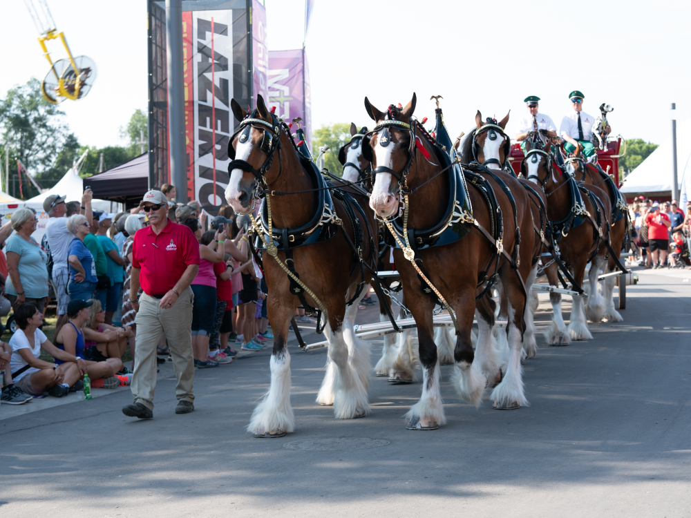 8 Hidden Gems Worth Finding at the Iowa State Fair