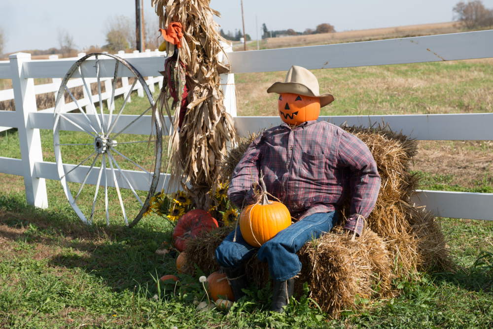 Making Magical Memories at Enchanted Acres