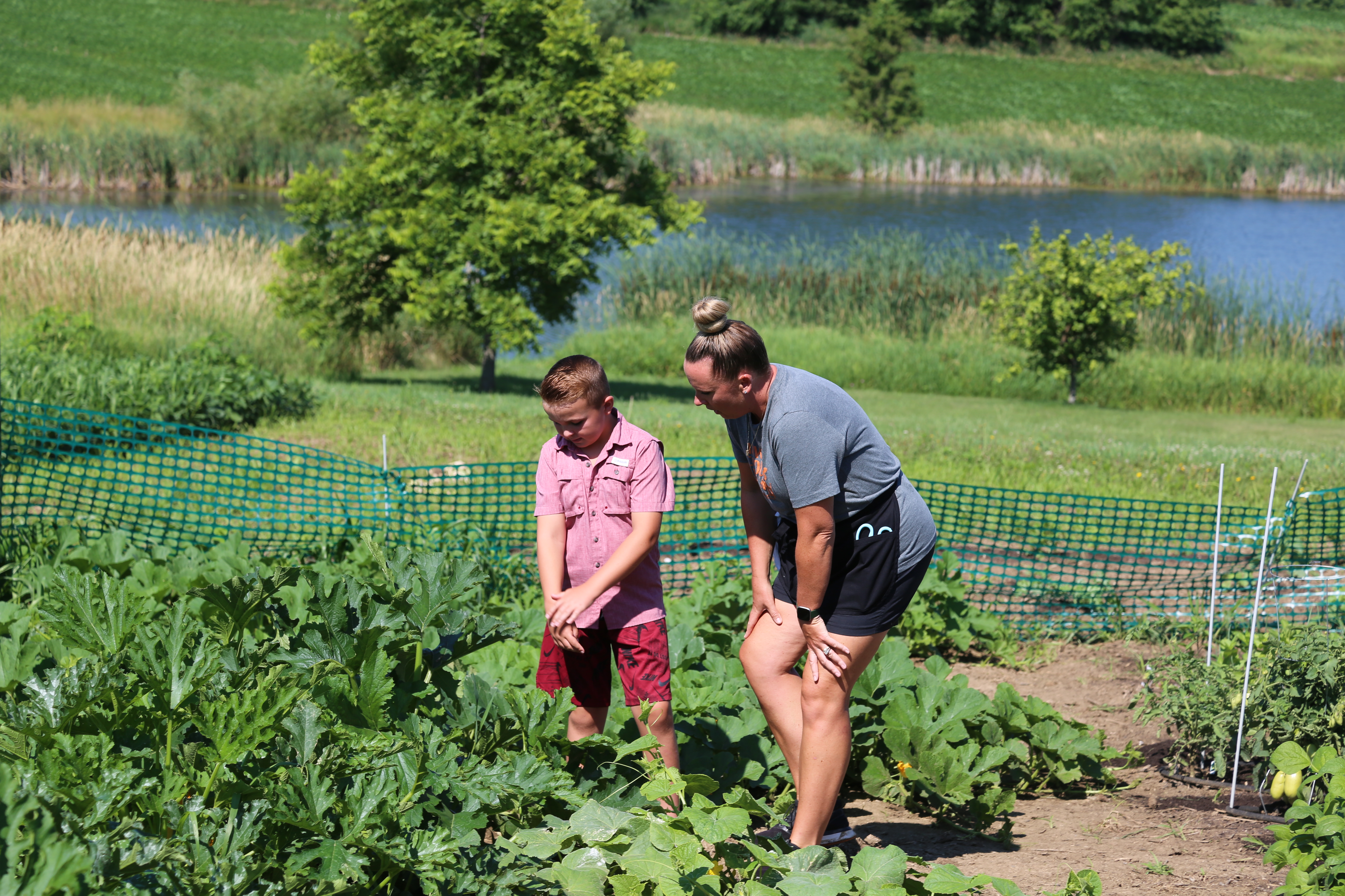 Garden Tips and How to Start a Salsa Garden