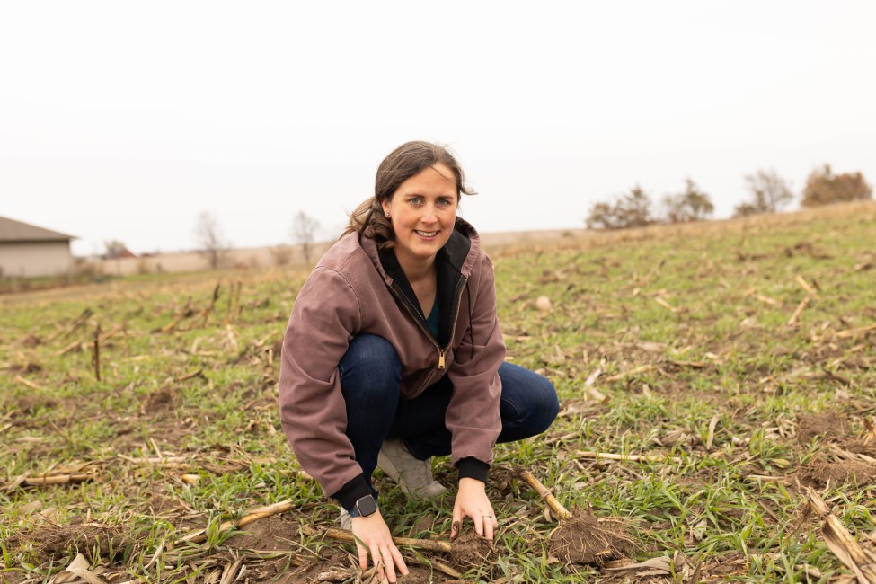 Soil’s Comfy Blanket