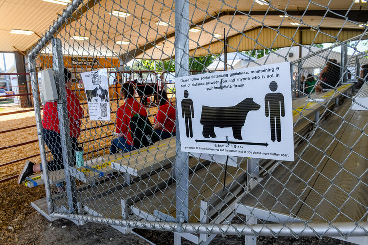 County Fairs Display Creativity and Care | Iowa Food & Family Project